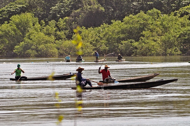 Usinas são risco para peixes como piraputanga e pacu peva, aponta ...