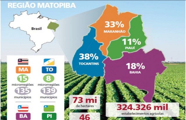 Alta produtividade do Matopiba indica viés de alta na safra do Brasil ...